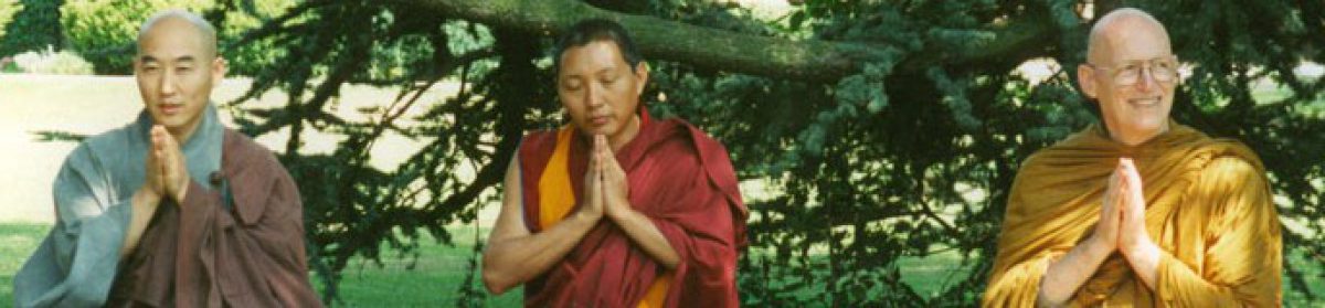 The Five Buddha Families, by Francesca Fremantle – Buddhism now