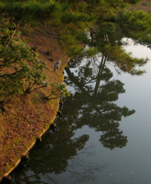 There is No Buddha-Dharma Outside the Mind, by Harada Sekkei Roshi ...