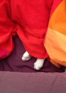 Judging Mind versus Discerning Mind, by Corrado Pensa – Buddhism now