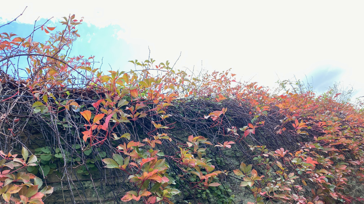 Bodhisattva’s Garland of Jewels, by Atisa Dipamkara – Buddhism now