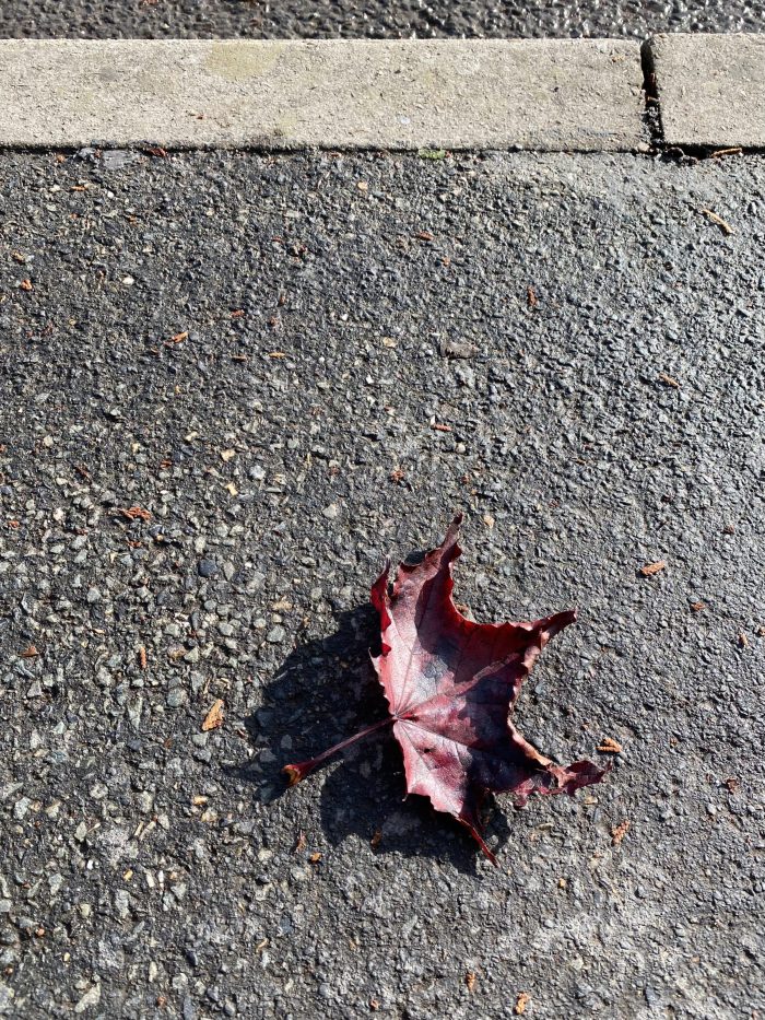 Harada Sekkei Roshi – Buddhism now