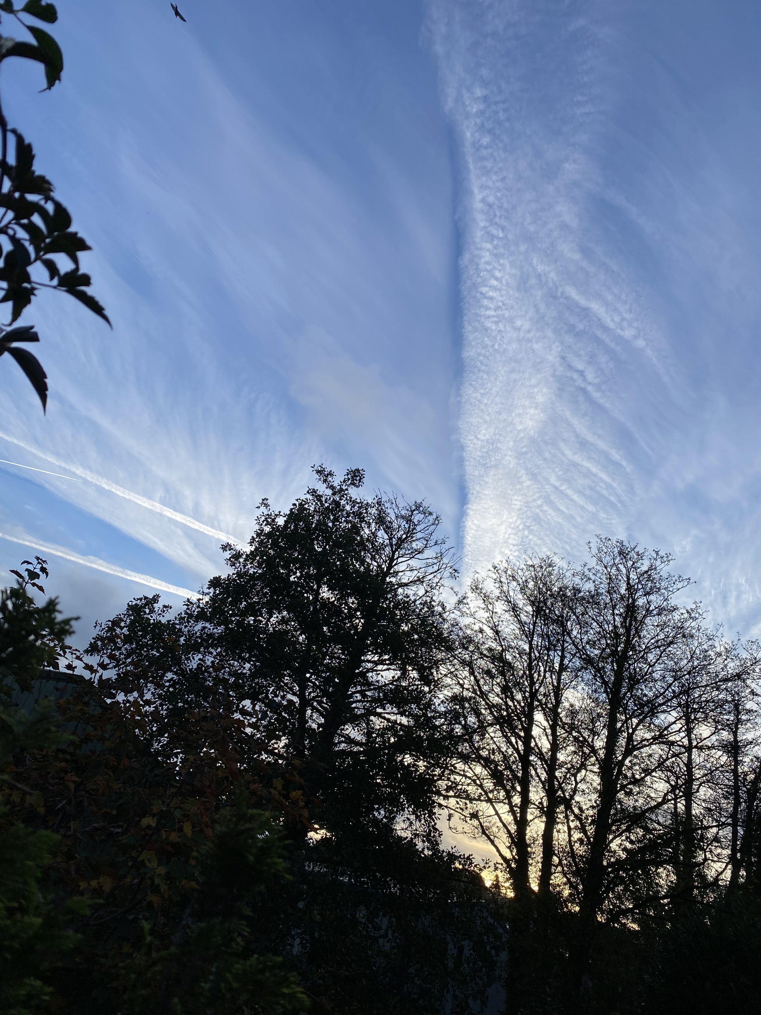 Morning meditation: Turn Around the Light. – Buddhism now