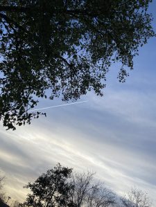 Harada Sekkei Roshi – Buddhism now