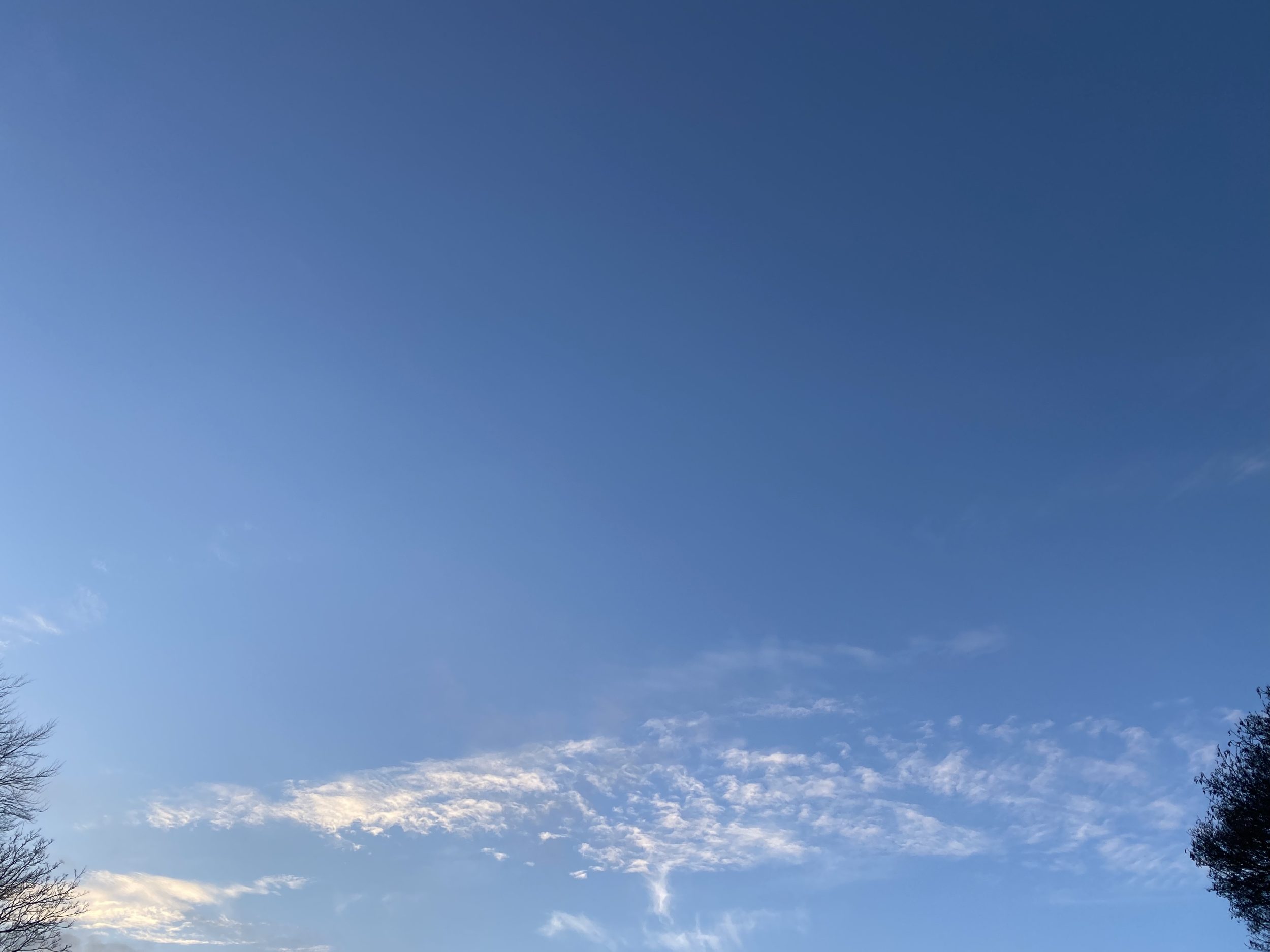 Morning Meditation — Having turned yourself around. – Buddhism now