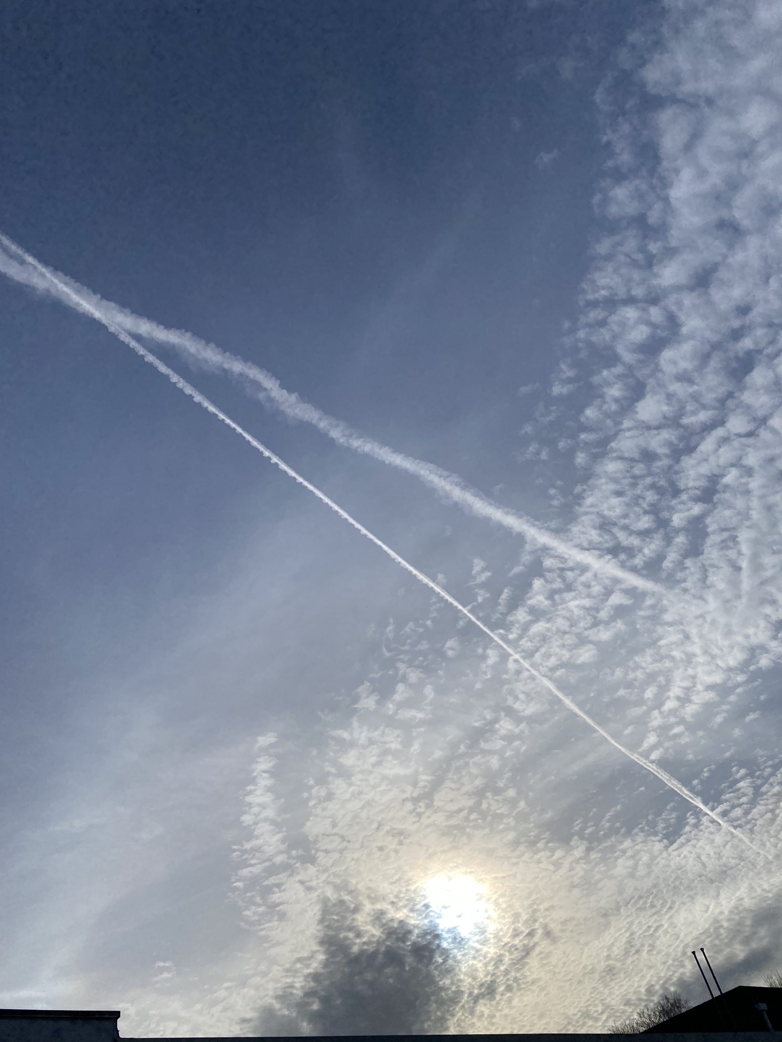 Morning meditation — When Trying to be Still. – Buddhism now