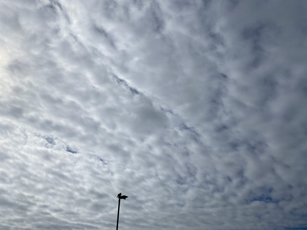 Morning meditation — The indissoluble union of voidness and compassion. – Buddhism now