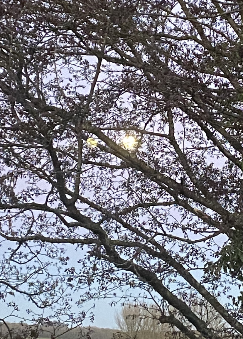 Morning Meditaton — A moment of anger in your heart. – Buddhism now