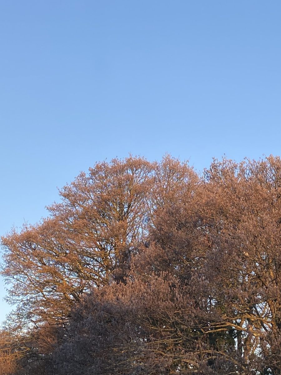 Afternoon meditation — When there is no self. – Buddhism now