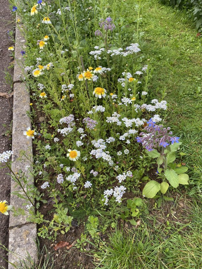 Harada Sekkei Roshi – Buddhism now