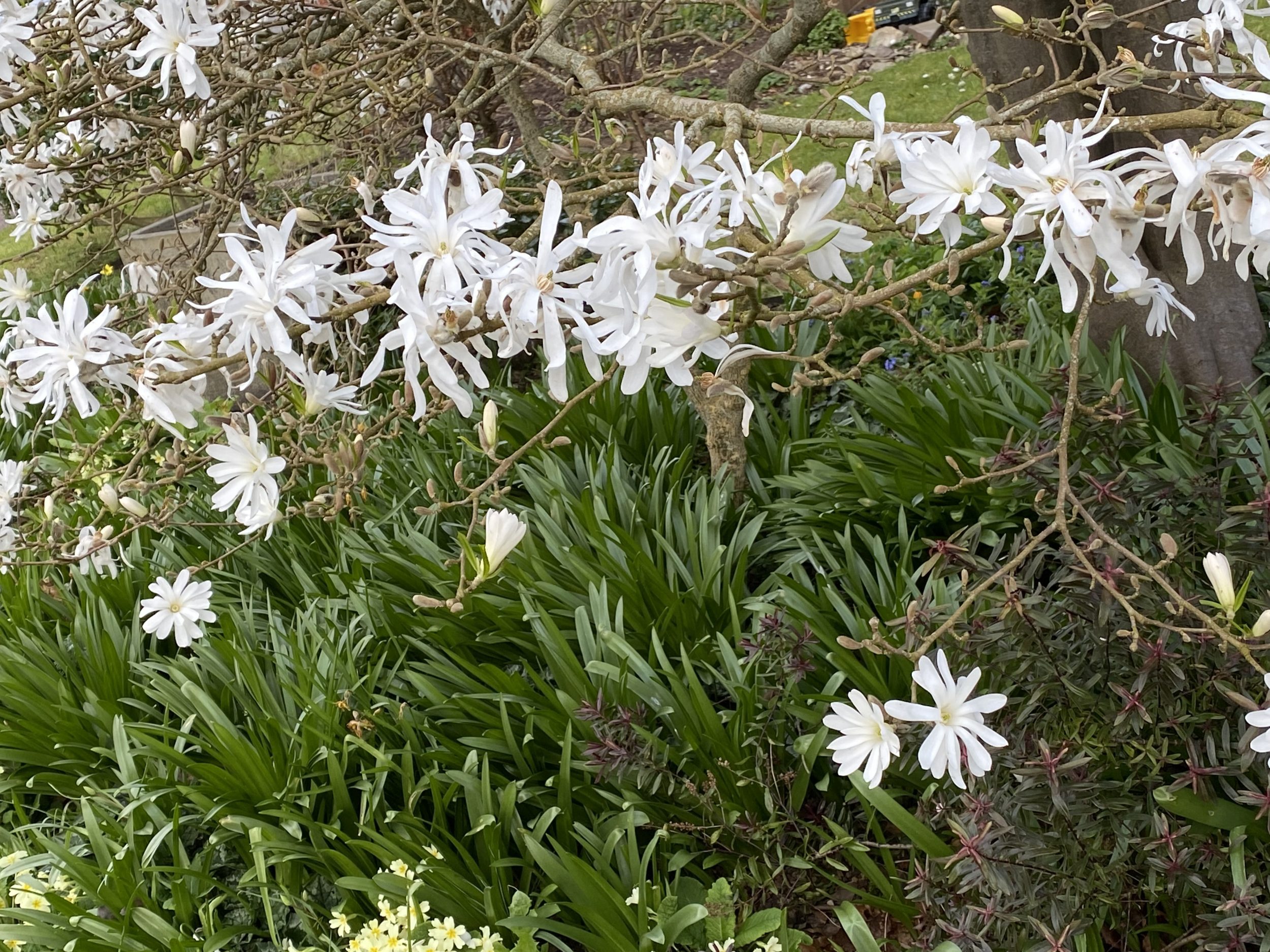 Buddhism now – Welcome to Buddhism Now an online Buddhist magazine ...