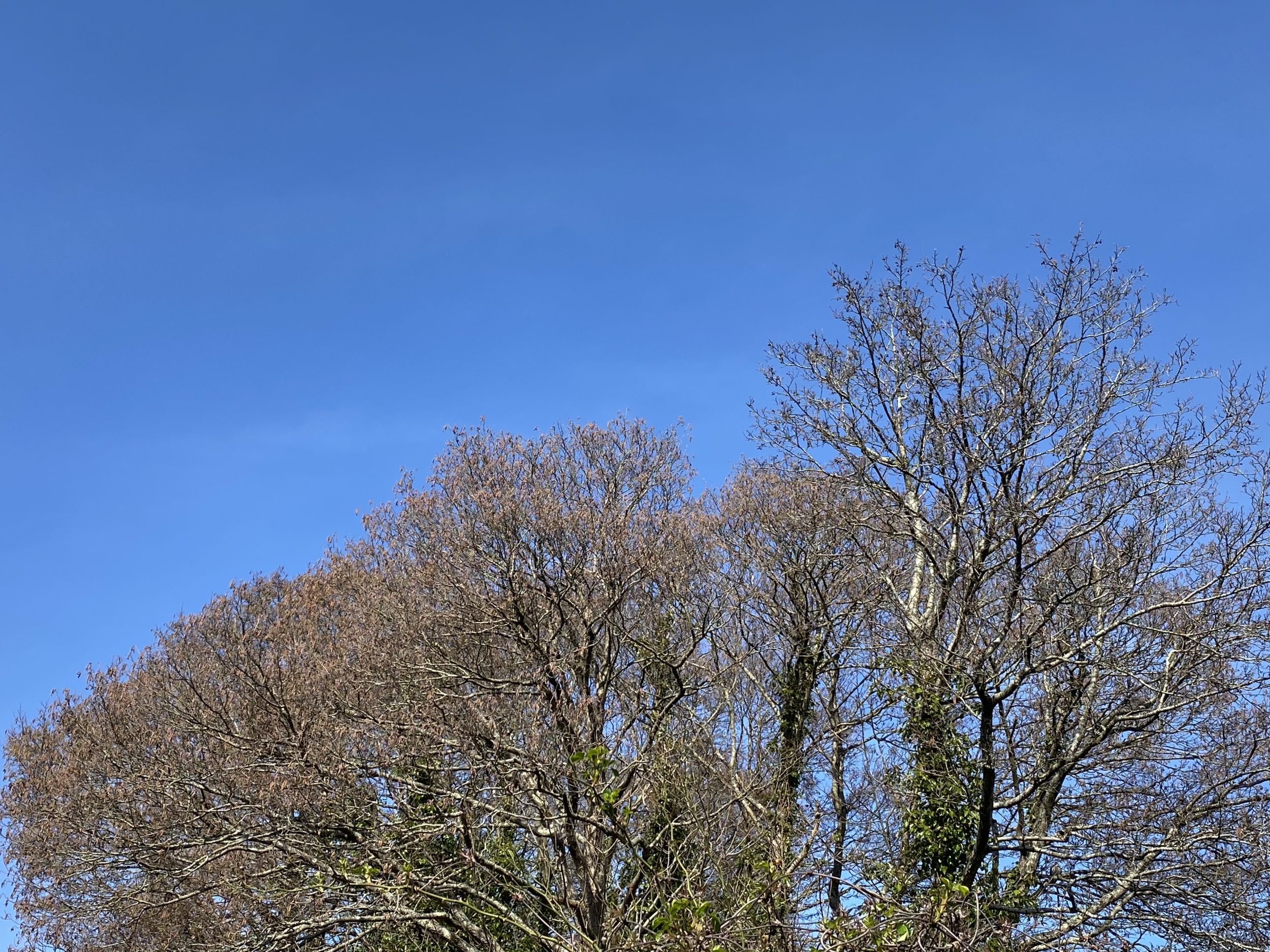 Buddhism now – Welcome to Buddhism Now an online Buddhist magazine ...