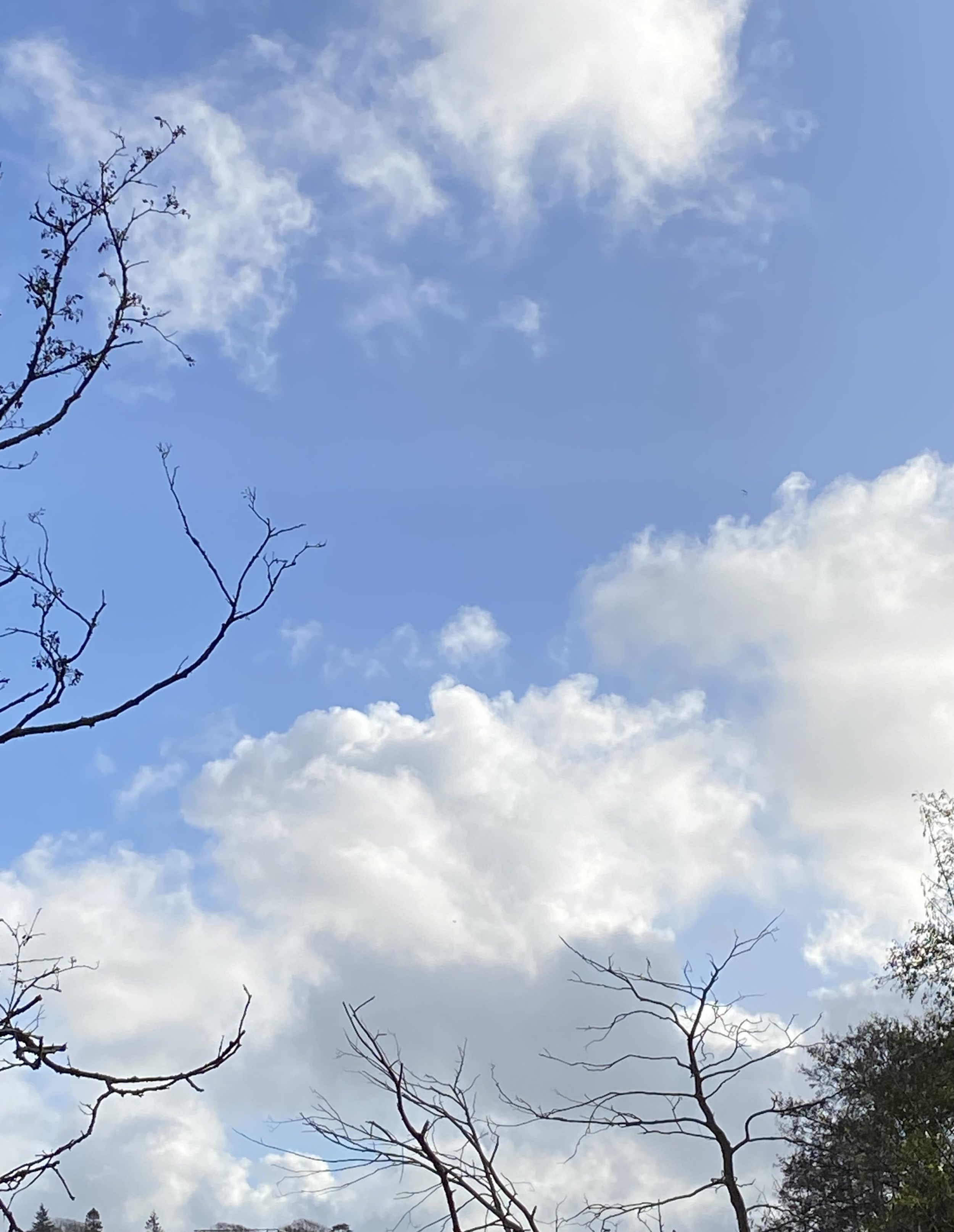 Morning meditation — Mind is empty, and while being empty, it still ...