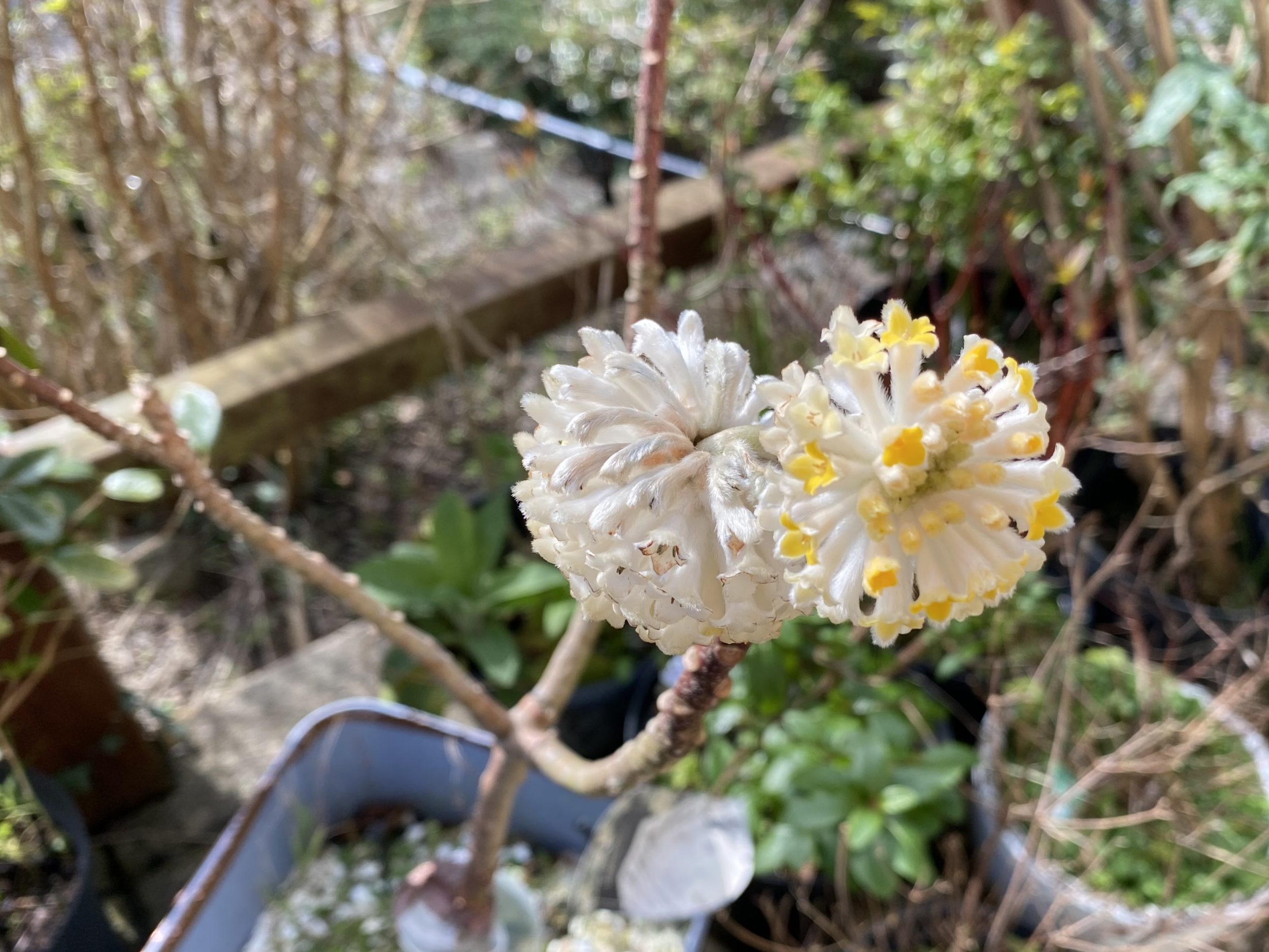 Morning meditation — May all beings overcome low self-esteem and ...