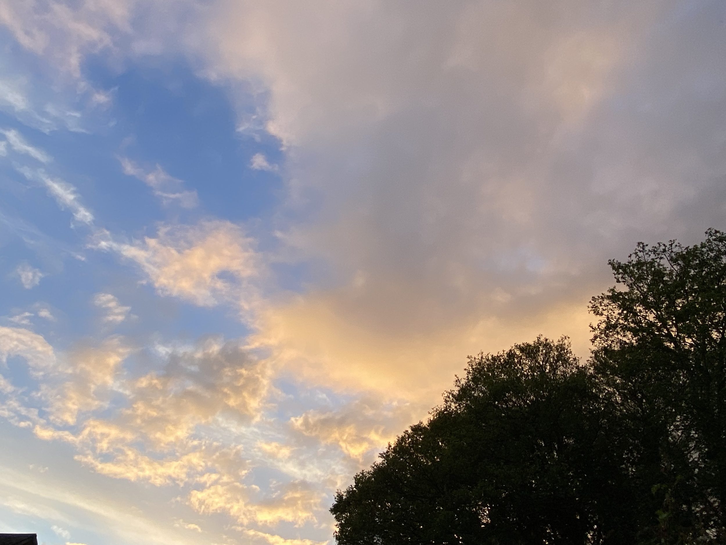 Morning meditation — With awareness, we can see anger itself ...